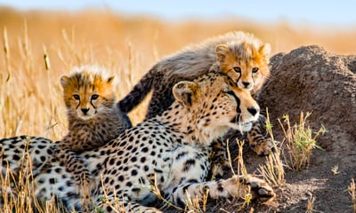 Turkey Travel Deals | TripADeal