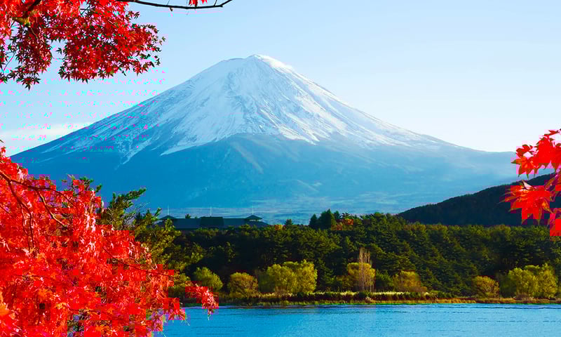 Japan Discovery | TripADeal