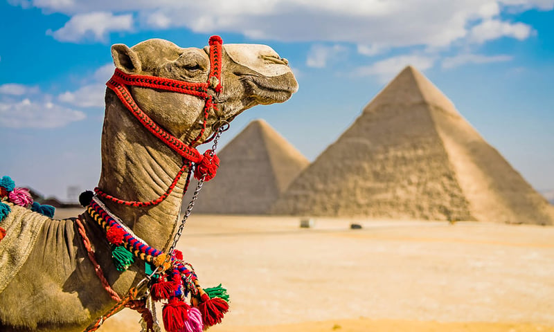Grand Egypt & Morocco | TripADeal