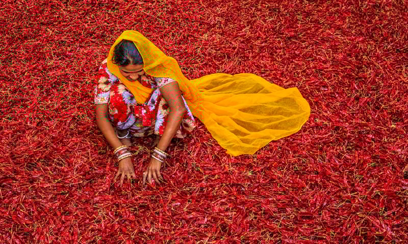 Indian Foodie Tour | Tour Package | Qantas Tours